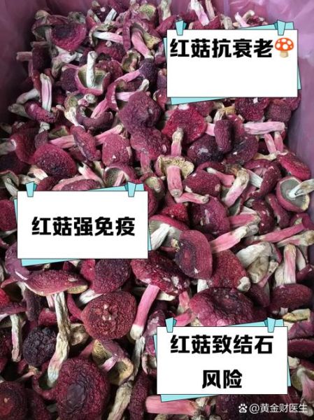 红菇的功效与作用_红菇怎么吃最好-第2张图片-山城妙识