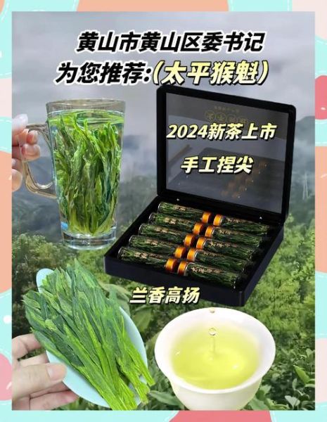 太平猴魁多少钱一斤_太平猴魁价格影响因素-第2张图片-山城妙识