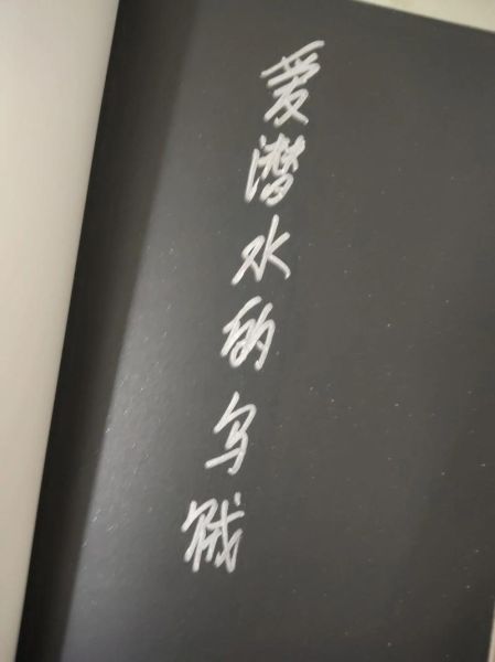 爱潜水的乌贼作品顺序_先看哪本-第2张图片-山城妙识