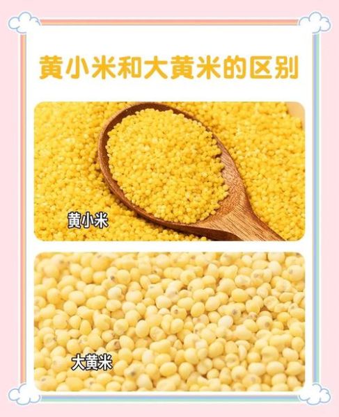 黄米和小米一样吗_黄米与小米的区别-第1张图片-山城妙识