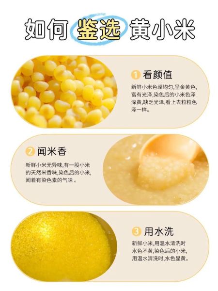 黄米和小米一样吗_黄米与小米的区别-第3张图片-山城妙识