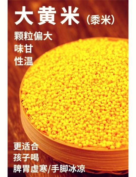 黄米和小米一样吗_黄米与小米的区别-第2张图片-山城妙识