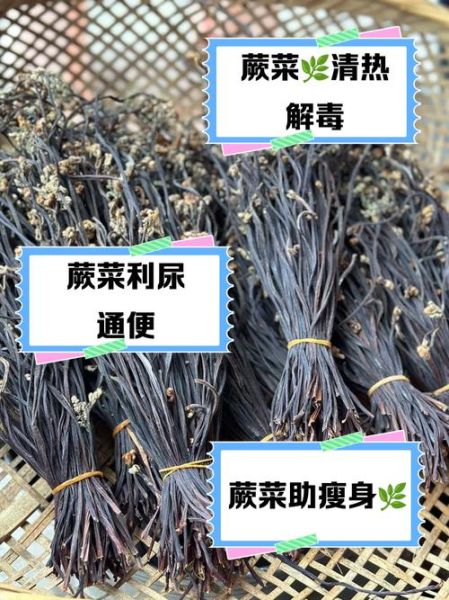 蕨菜致癌吗是真的吗_蕨菜还能不能吃-第2张图片-山城妙识