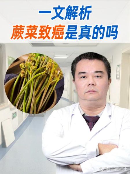 蕨菜致癌吗是真的吗_蕨菜还能不能吃-第1张图片-山城妙识