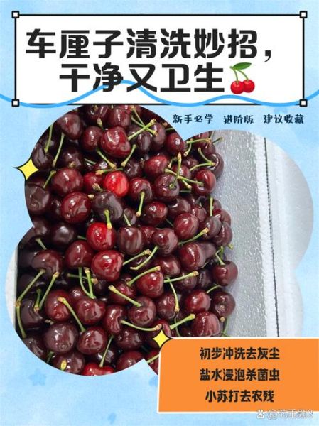 车厘子怎么洗最干净_车厘子清洗的正确方法-第3张图片-山城妙识