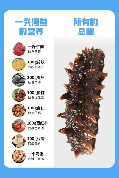 海参怎么吃最营养_海参的功效与作用有哪些-第3张图片-山城妙识