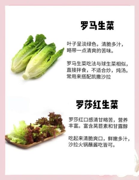 做蔬菜沙拉需要什么材料_蔬菜沙拉食材清单-第3张图片-山城妙识 做蔬菜沙拉需要什么材料_蔬菜沙拉食材清单-第3张图片-山城妙识
