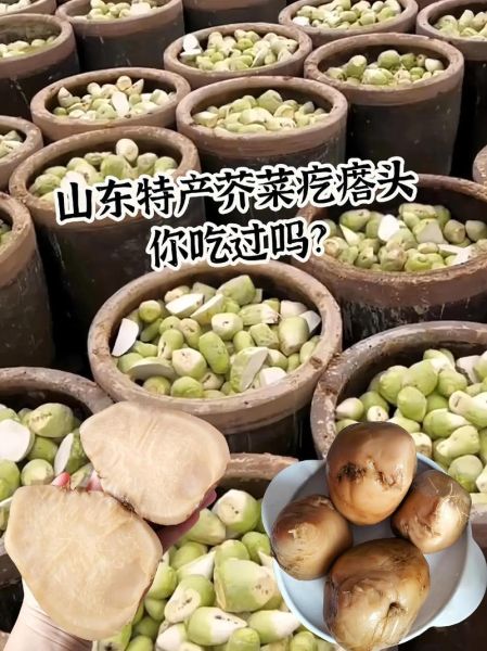 芥菜疙瘩怎么腌制好吃_芥菜疙瘩的营养价值-第1张图片-山城妙识