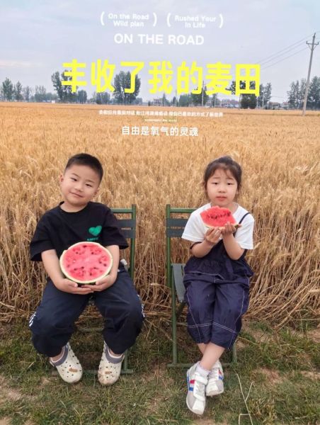 麦子熟了怎么办_麦子熟了怎么收割-第3张图片-山城妙识