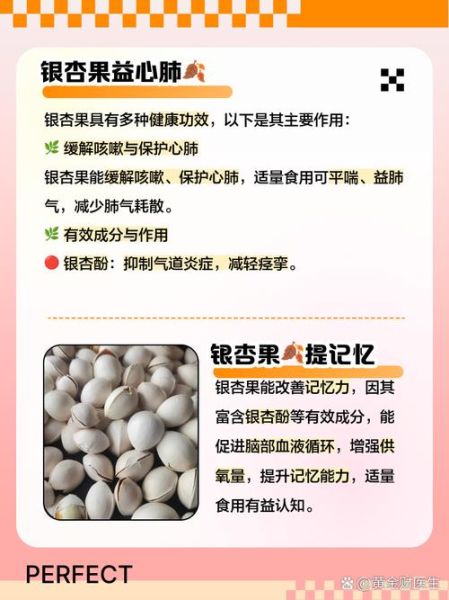 银杏果怎么吃_银杏果的功效与作用-第3张图片-山城妙识