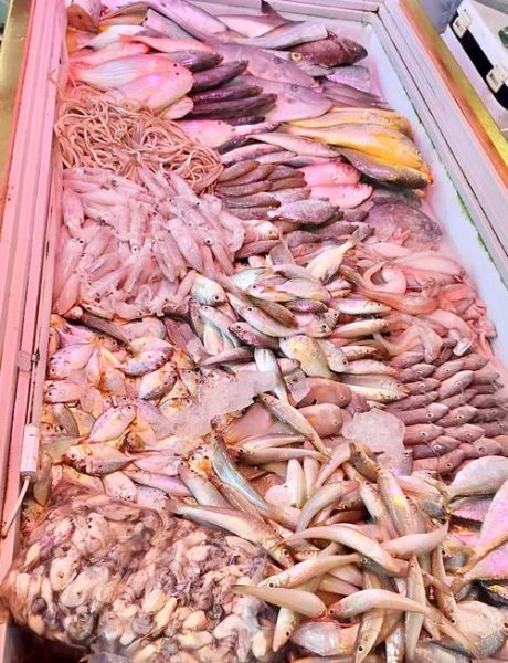 海鲜种类有哪些_海鲜怎么吃最鲜-第3张图片-山城妙识