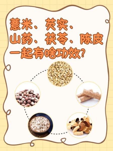 芡实怎么吃补肾健脾_芡实的功效与作用及食用禁忌-第2张图片-山城妙识