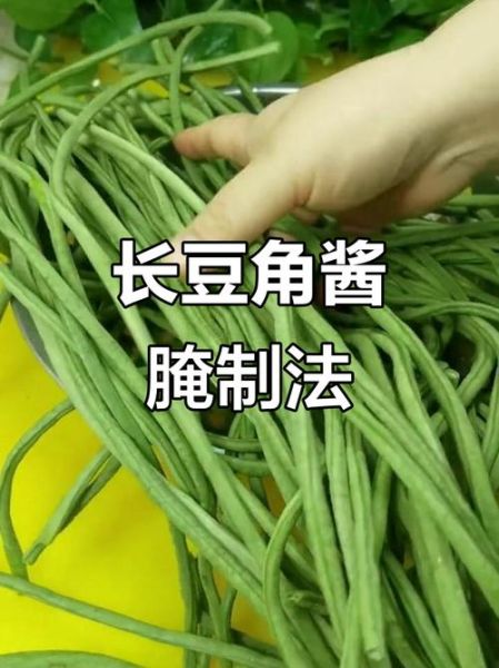 怎样腌豆角好吃又不坏_腌豆角怎么保存时间长-第1张图片-山城妙识