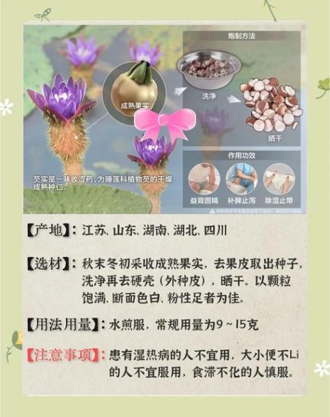 芡实怎么吃补肾健脾_芡实的功效与作用及食用禁忌-第3张图片-山城妙识
