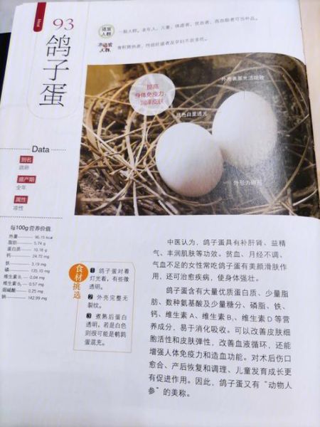 鸽子蛋营养价值_鸽子蛋怎么吃好-第1张图片-山城妙识