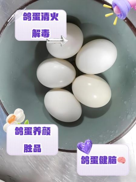 鸽子蛋营养价值_鸽子蛋怎么吃好-第3张图片-山城妙识