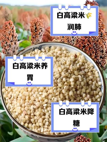 白高粱米的功效与作用_白高粱米的禁忌有哪些-第1张图片-山城妙识