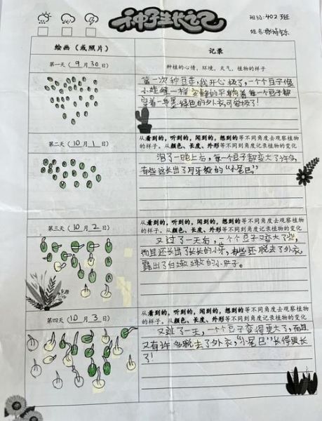 小学生发豆芽记录过程_怎么写观察日记-第1张图片-山城妙识