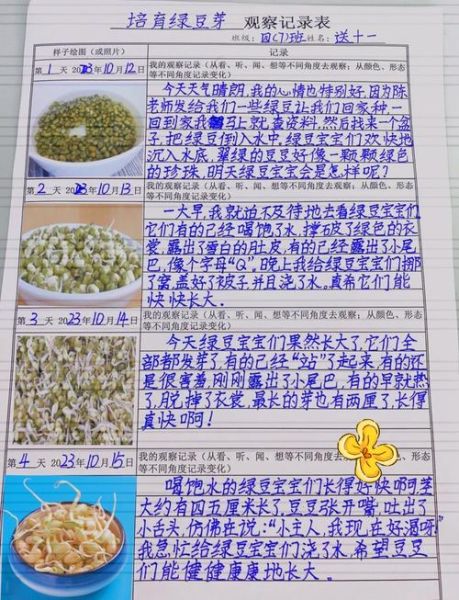 小学生发豆芽记录过程_怎么写观察日记-第2张图片-山城妙识