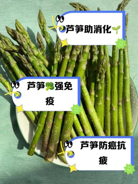 芦笋的功效与作用_怎么吃最营养-第3张图片-山城妙识