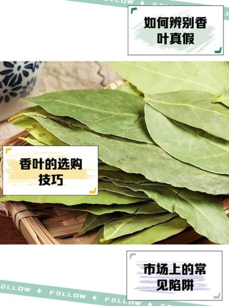 五香叶是什么_五香叶和香叶一样吗-第2张图片-山城妙识