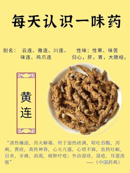 黄连的功效与作用_黄连的副作用有哪些-第1张图片-山城妙识