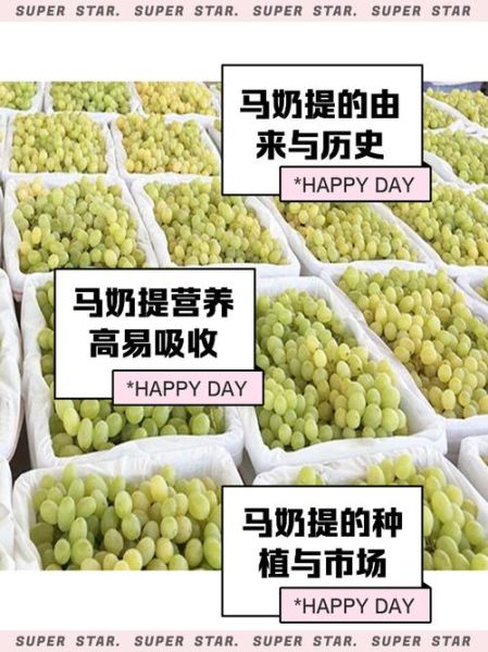 马奶提子的功效与作用_马奶提子适合什么人吃-第1张图片-山城妙识
