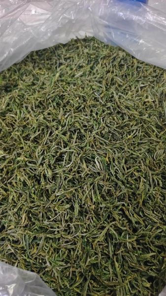 黄山毛峰属于什么茶_黄山毛峰口感怎么样-第2张图片-山城妙识