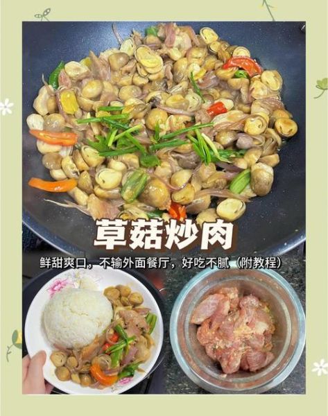草菇炒肉末怎么做_草菇炒肉末的家常做法-第1张图片-山城妙识 草菇炒肉末怎么做_草菇炒肉末的家常做法-第1张图片-山城妙识