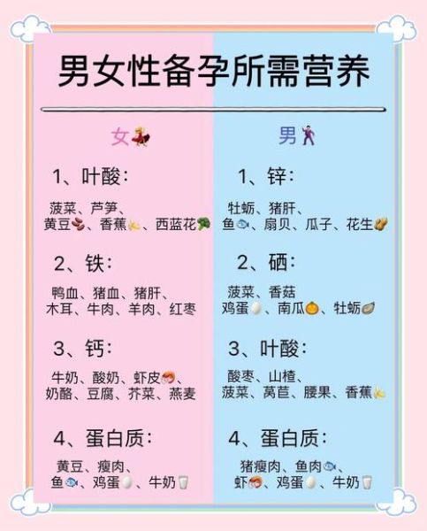 备孕前怎么调理身体_孕前饮食注意事项-第1张图片-山城妙识
