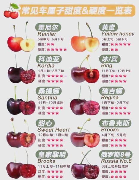 车厘子成熟的季节是几月_车厘子几月份最好吃-第1张图片-山城妙识