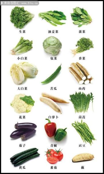 青菜图片大全真实照片_如何辨别常见品种-第2张图片-山城妙识