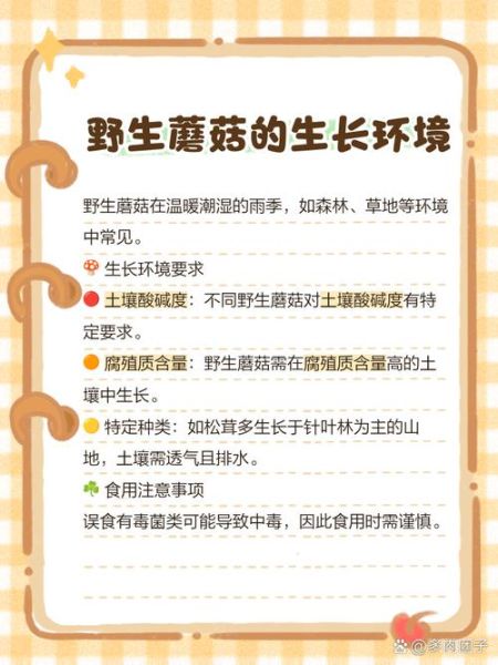 蘑菇种植技术_家庭蘑菇种植方法-第2张图片-山城妙识