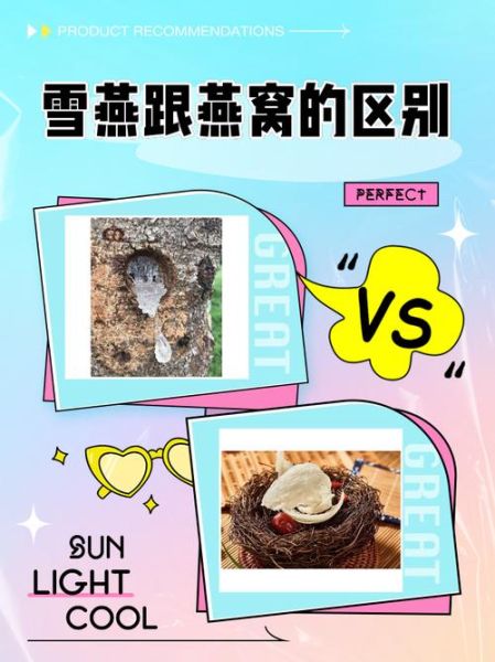 真假雪燕图片对比_雪燕真假鉴别方法-第3张图片-山城妙识