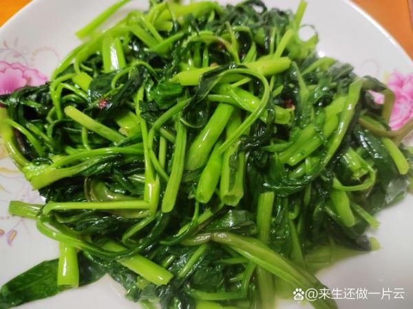 白通菜怎么炒好吃_白通菜需要焯水吗-第2张图片-山城妙识