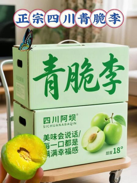 青李子怎么做好吃_青李子做法大全-第2张图片-山城妙识