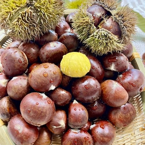 带壳生板栗怎么煮好吃_生板栗煮多久才软糯-第1张图片-山城妙识