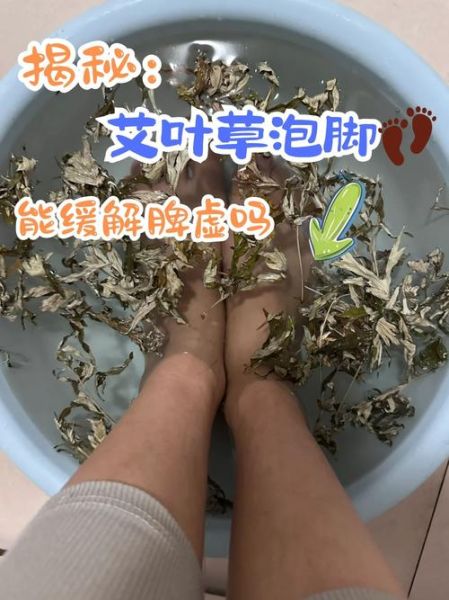 艾叶泡脚的正确方法_艾叶泡脚多久见效-第1张图片-山城妙识