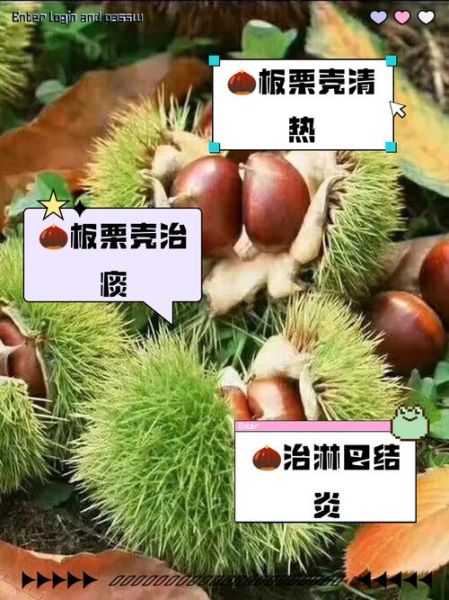 带壳生板栗怎么煮好吃_生板栗煮多久才软糯-第2张图片-山城妙识
