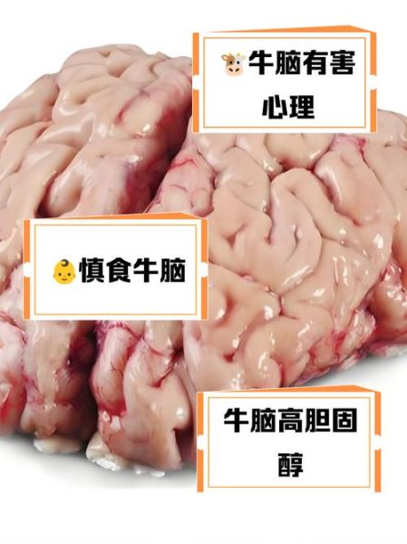 牛脑能吃吗_牛脑怎么吃才安全-第1张图片-山城妙识