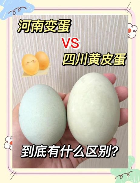 黄皮蛋和黑皮蛋哪个含铅高_皮蛋含铅量对比-第1张图片-山城妙识