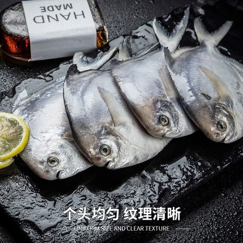 鲳鱼拼音怎么写_鲳鱼是平鱼吗-第3张图片-山城妙识