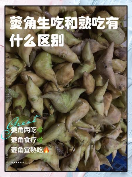 菱角怎么吃是正确的_生吃还是熟吃-第1张图片-山城妙识