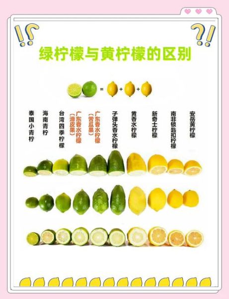 青柠檬和黄柠檬哪个美白好_怎么选更有效-第2张图片-山城妙识