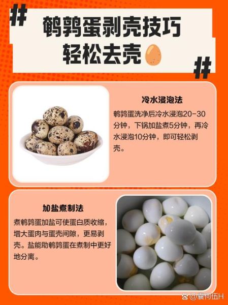 鹌鹑蛋怎么煮好剥壳_鹌鹑蛋煮多久好剥壳-第1张图片-山城妙识