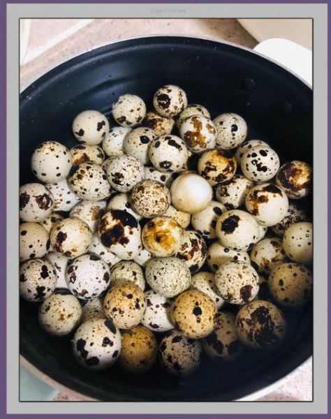 鹌鹑蛋怎么煮好剥壳_鹌鹑蛋煮多久好剥壳-第2张图片-山城妙识