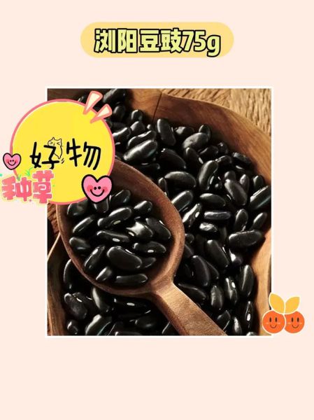 豉怎么读_豉油是什么油-第3张图片-山城妙识