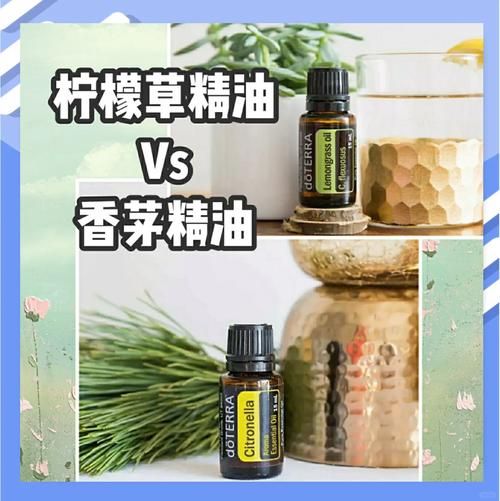 香茅精油怎么用_香茅和柠檬草区别-第3张图片-山城妙识