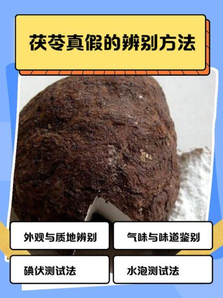 茯苓长什么样_如何辨别真假茯苓-第1张图片-山城妙识