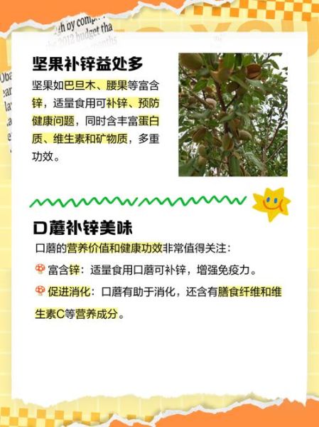 补锌水果之王_哪些水果含锌量最高-第2张图片-山城妙识